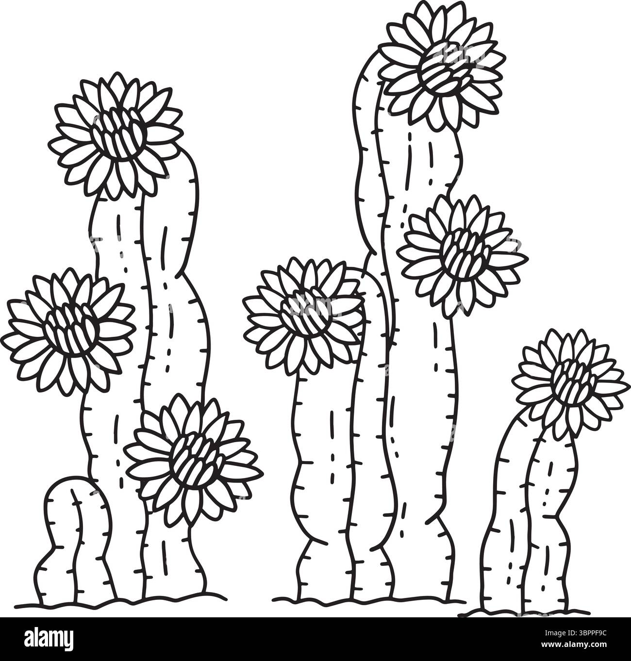 Cactus giant Cut Out Stock Images & Pictures - Alamy