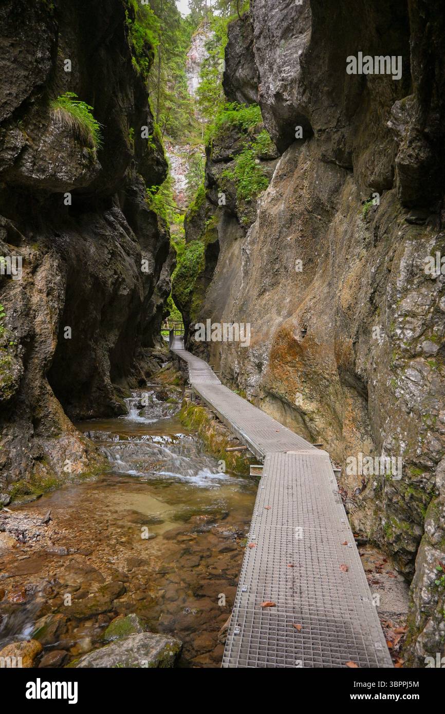 Scenic path follows stream hi-res stock photography and images - Alamy