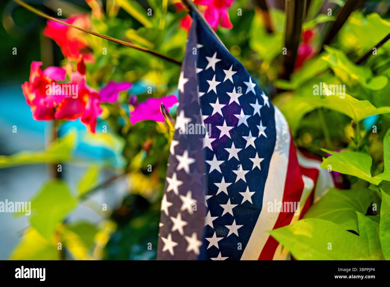 July 4th at home celebration hi-res stock photography and images - Alamy