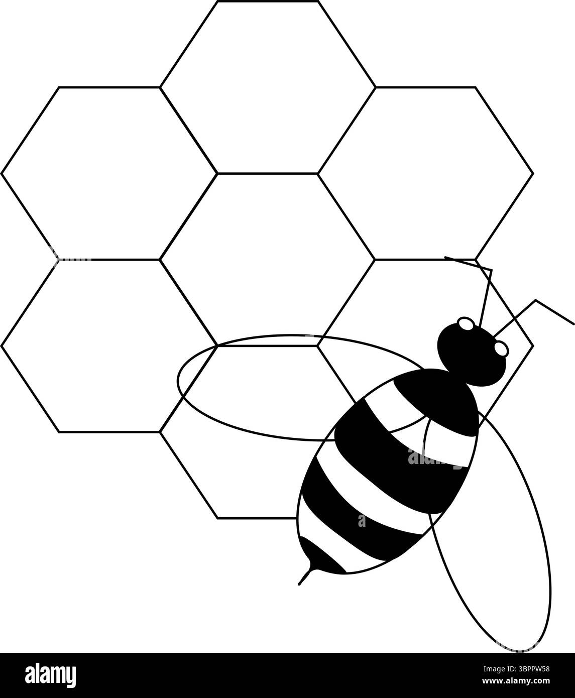 Honey bee and honeycomb composition. Vector graphic line illustration ...