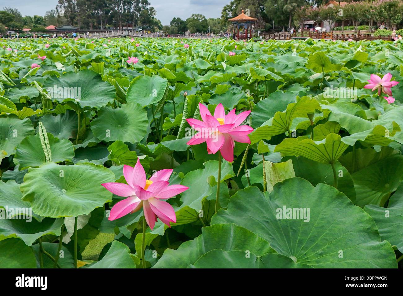 Kunming. 9th July, 2025. A drone photo taken on July 9, 2025 shows ...