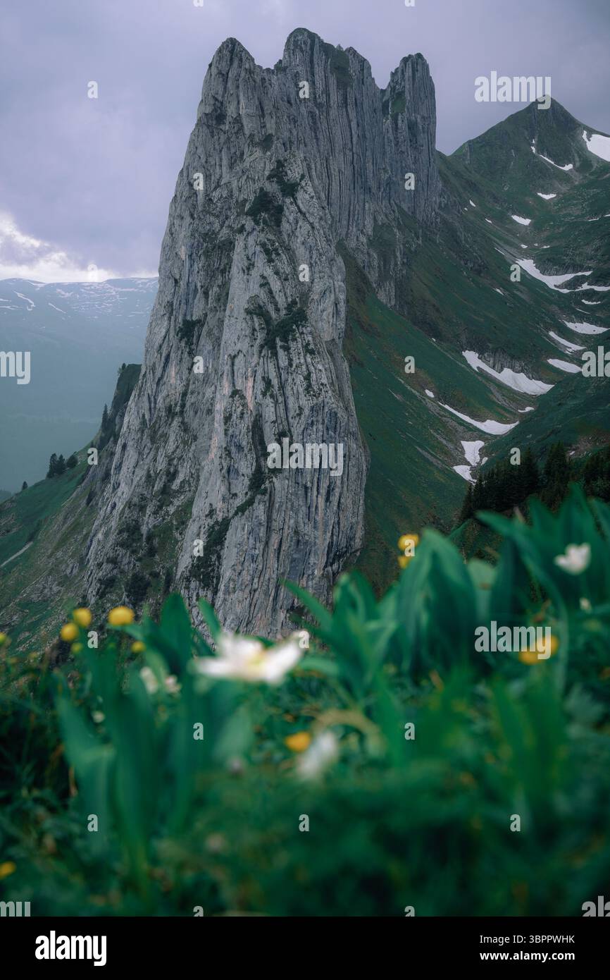 Saxer lücke hi-res stock photography and images - Alamy