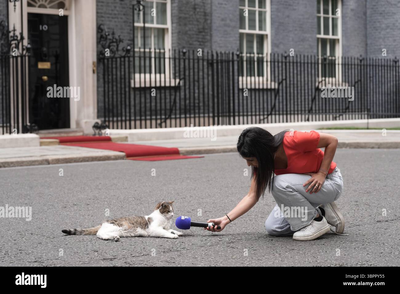 A French journalist with Larry the cat at 10 Downing Street, London, on ...