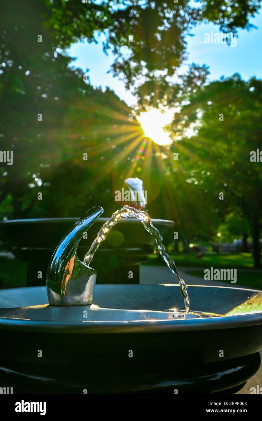 Drinking fountain in Boston Common park with sunlight rays shining ...
