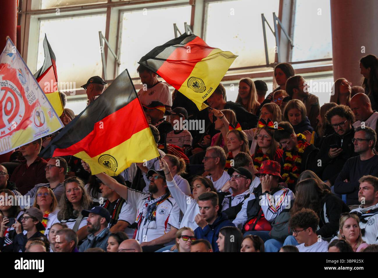 Wunderschne Fhre Deutschland Dnemark Bild