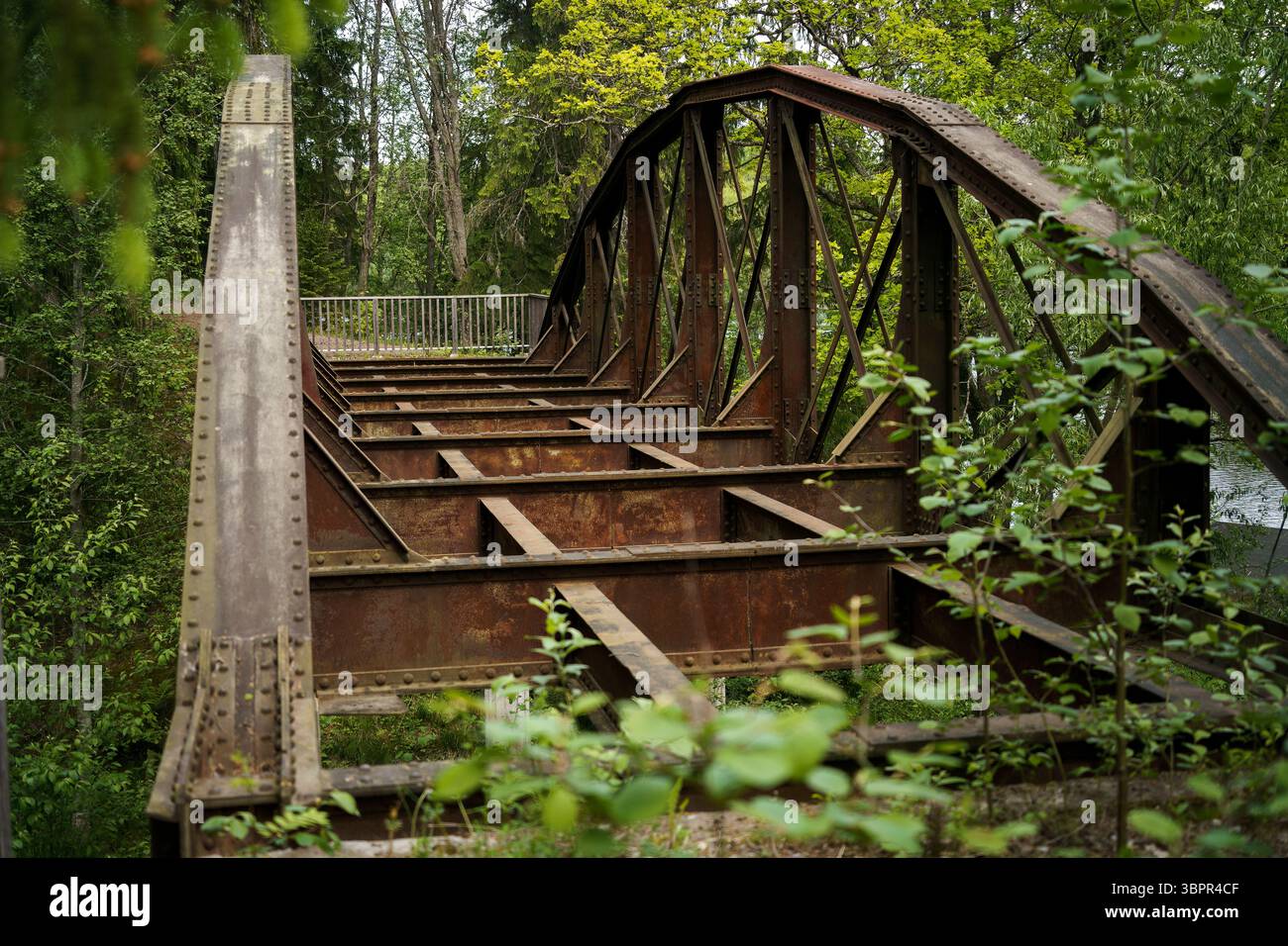 Rusty metal bridge in the middle of overgrown forest landscape Stock ...