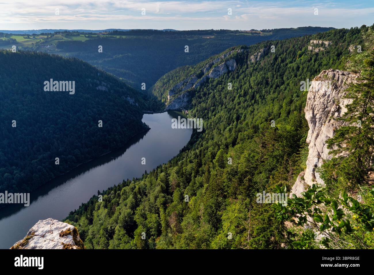 Planchettes hi-res stock photography and images - Alamy