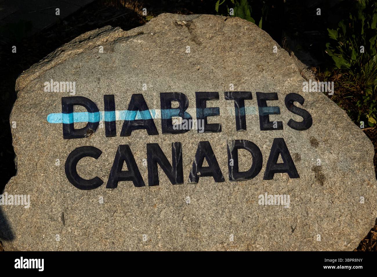 Discovery insulin discovered writing book paper hypothesis hi-res stock ...