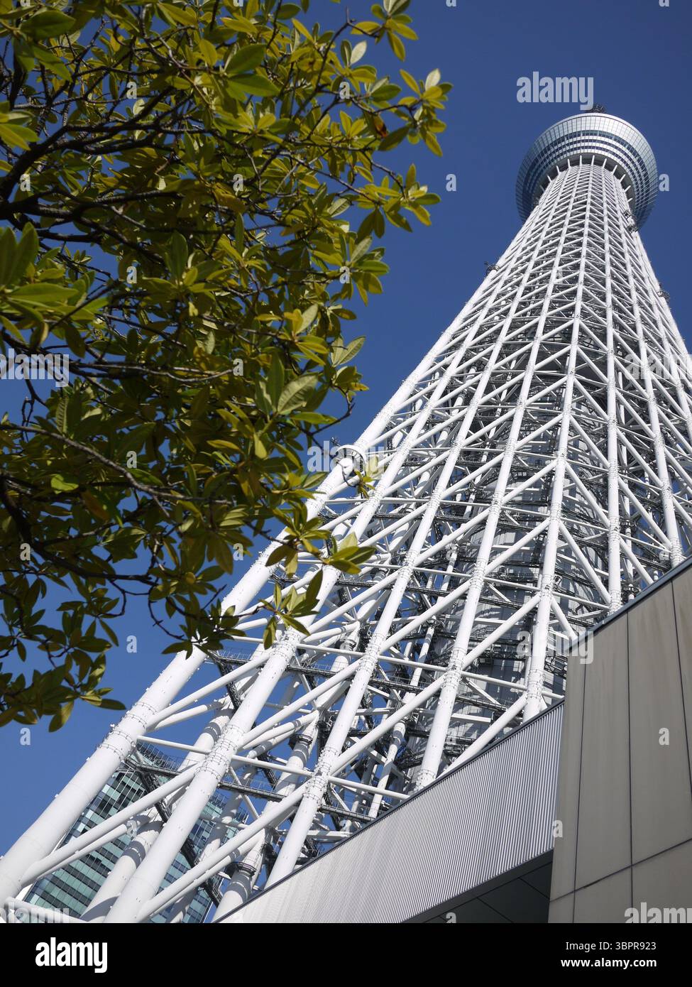 Tokyo trip .Tokyo Tower rising above the city skyline on a clear day, a ...