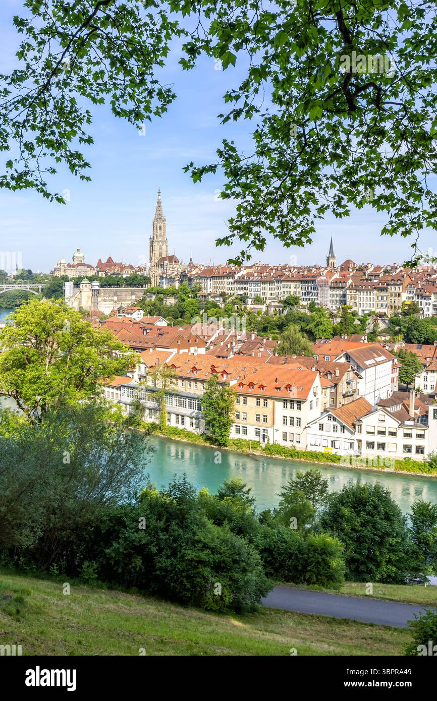 Bern Stadt am Fluss Aare Altstadt mit Kirche Berner Münster Hochformat ...