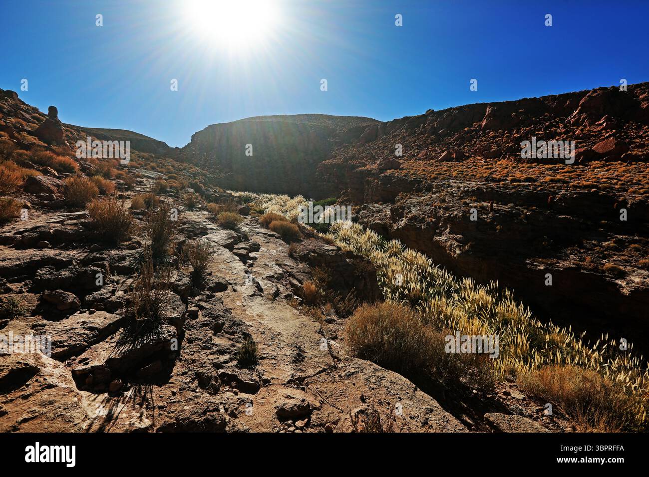 South America Chile Atacama Desert Canyon Quebrada Escalera Trekking ...
