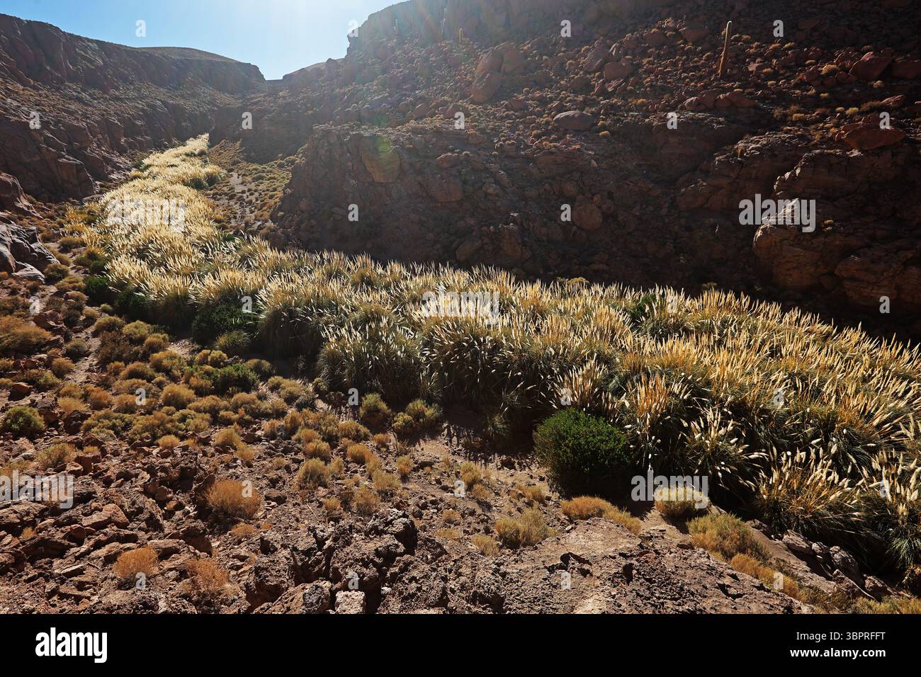 South America Chile Atacama Desert Canyon Quebrada Escalera Trekking ...