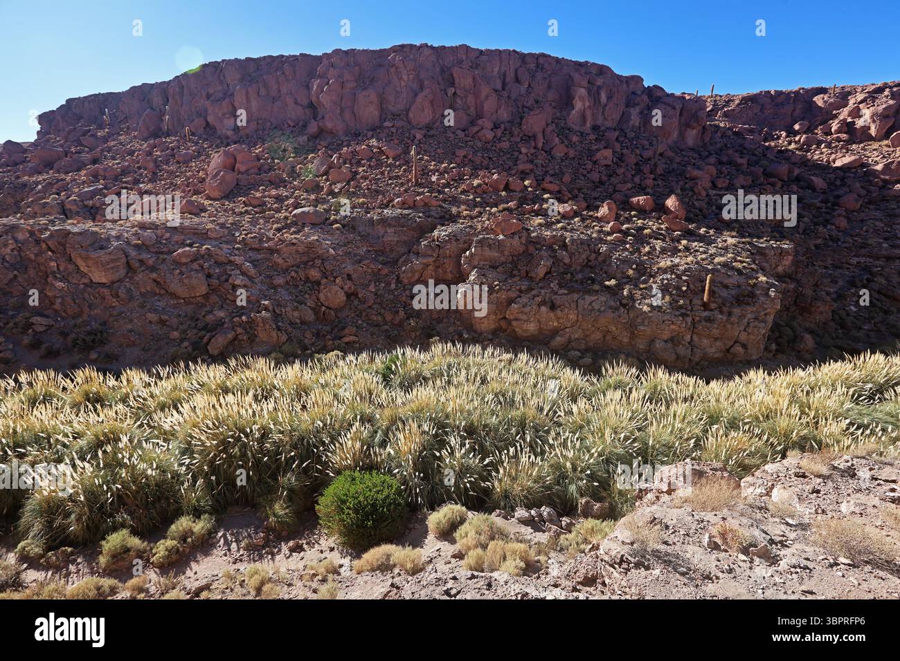 South America Chile Atacama Desert Canyon Quebrada Escalera Trekking ...