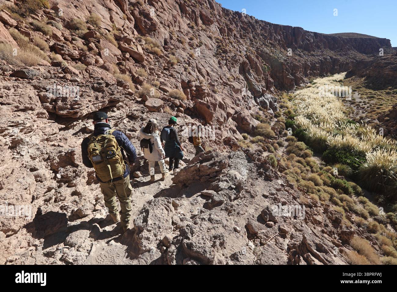 South America Chile Atacama Desert Canyon Quebrada Escalera Trekking ...