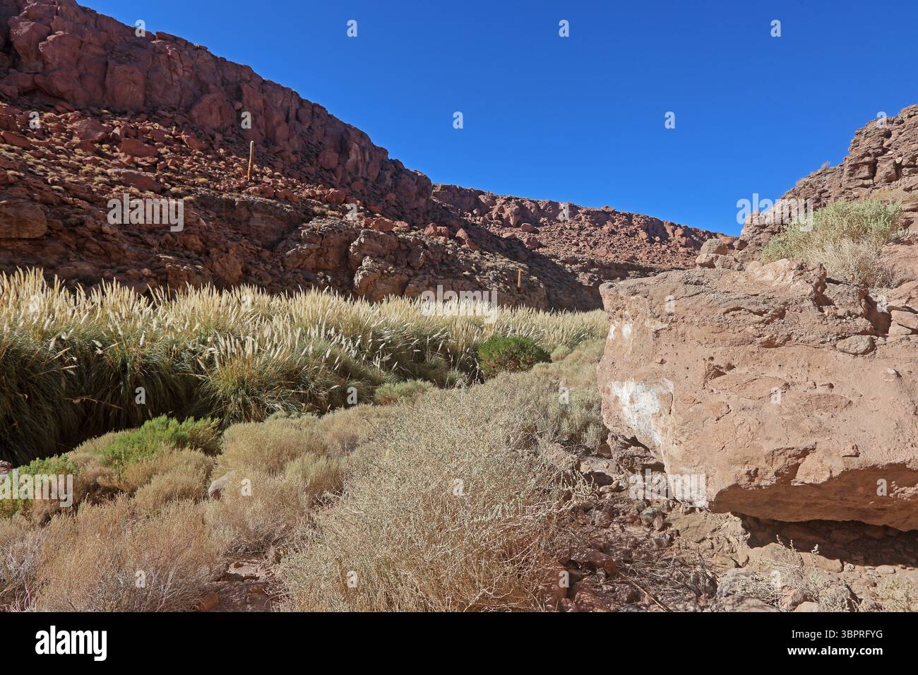 South America Chile Atacama Desert Canyon Quebrada Escalera Trekking ...