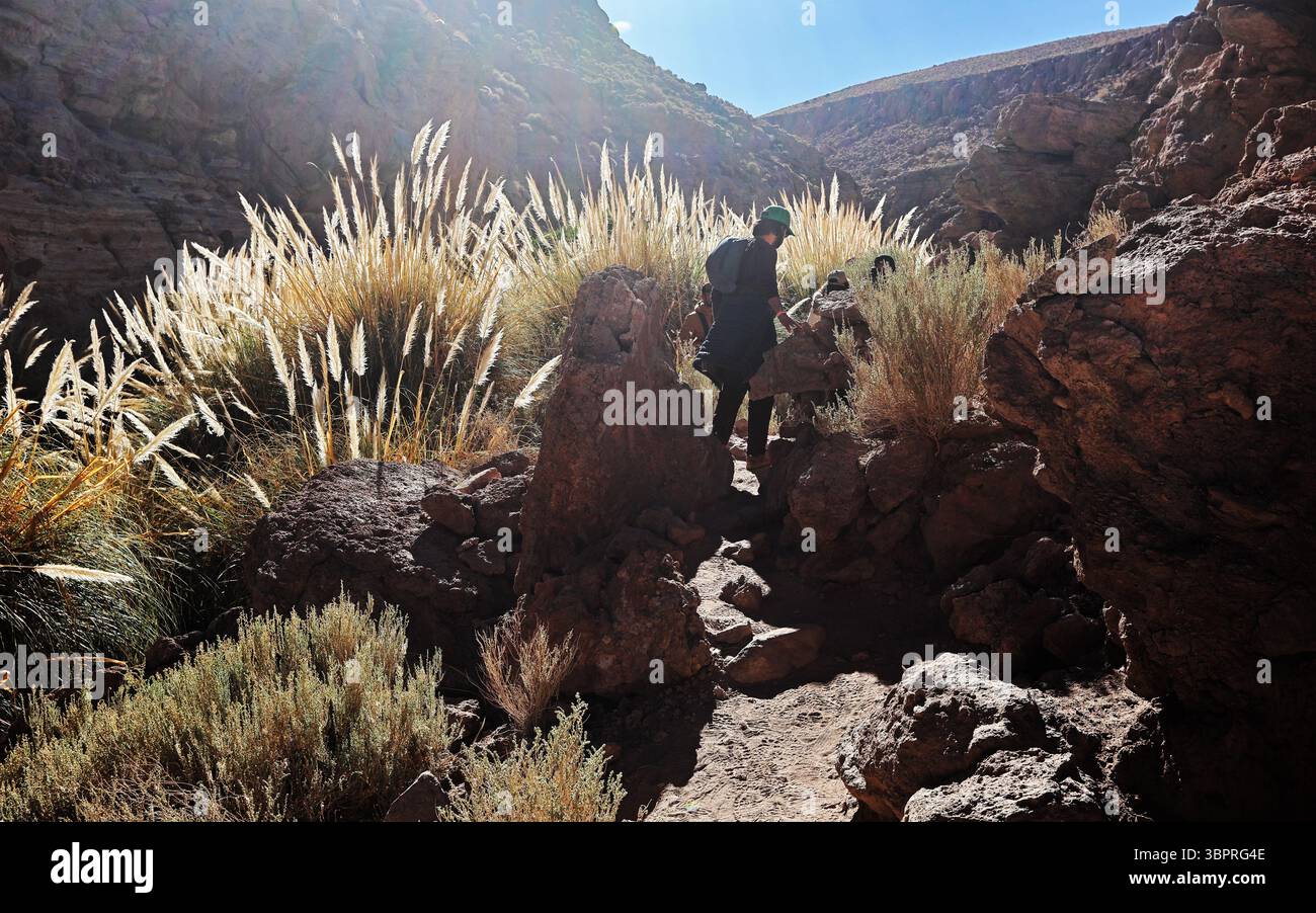 South America Chile Atacama Desert Canyon Quebrada Escalera Trekking ...