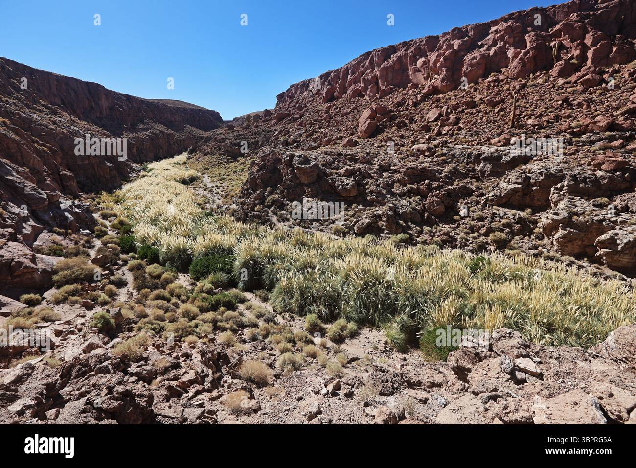 South America Chile Atacama Desert Canyon Quebrada Escalera Trekking ...