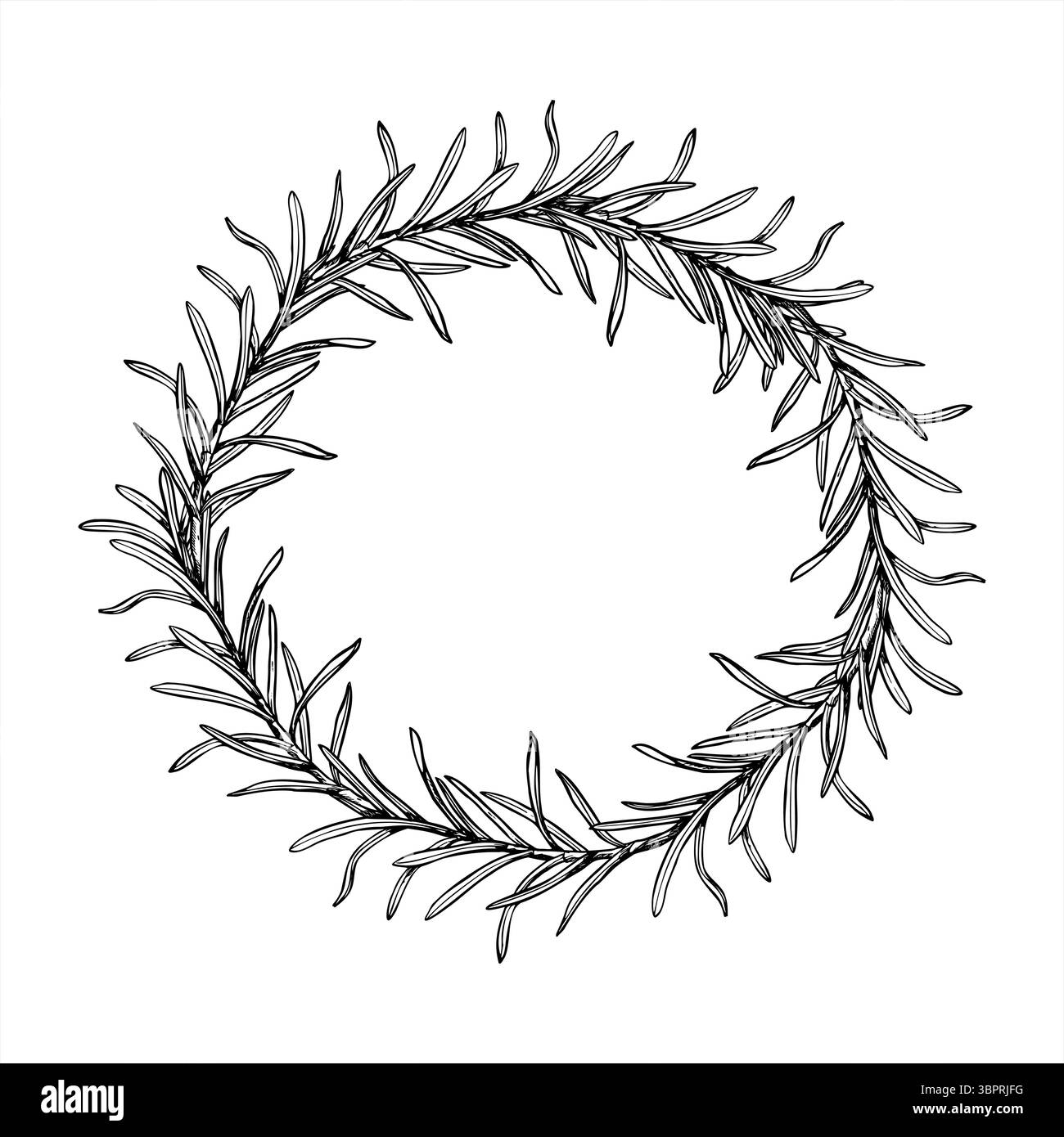 Vector rosemary branches round monochrome wreath illustration painted ...
