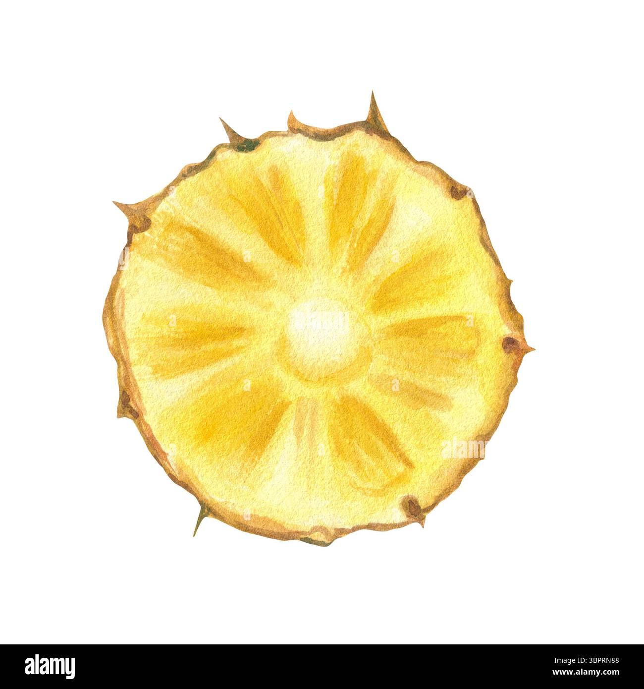 Ananas poster Cut Out Stock Images & Pictures - Alamy