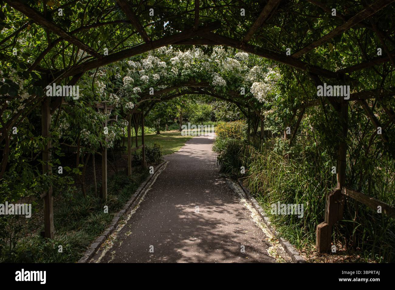 Beautiful view in Priory Park in Southend-on-Sea, Essex, UK Stock Photo ...