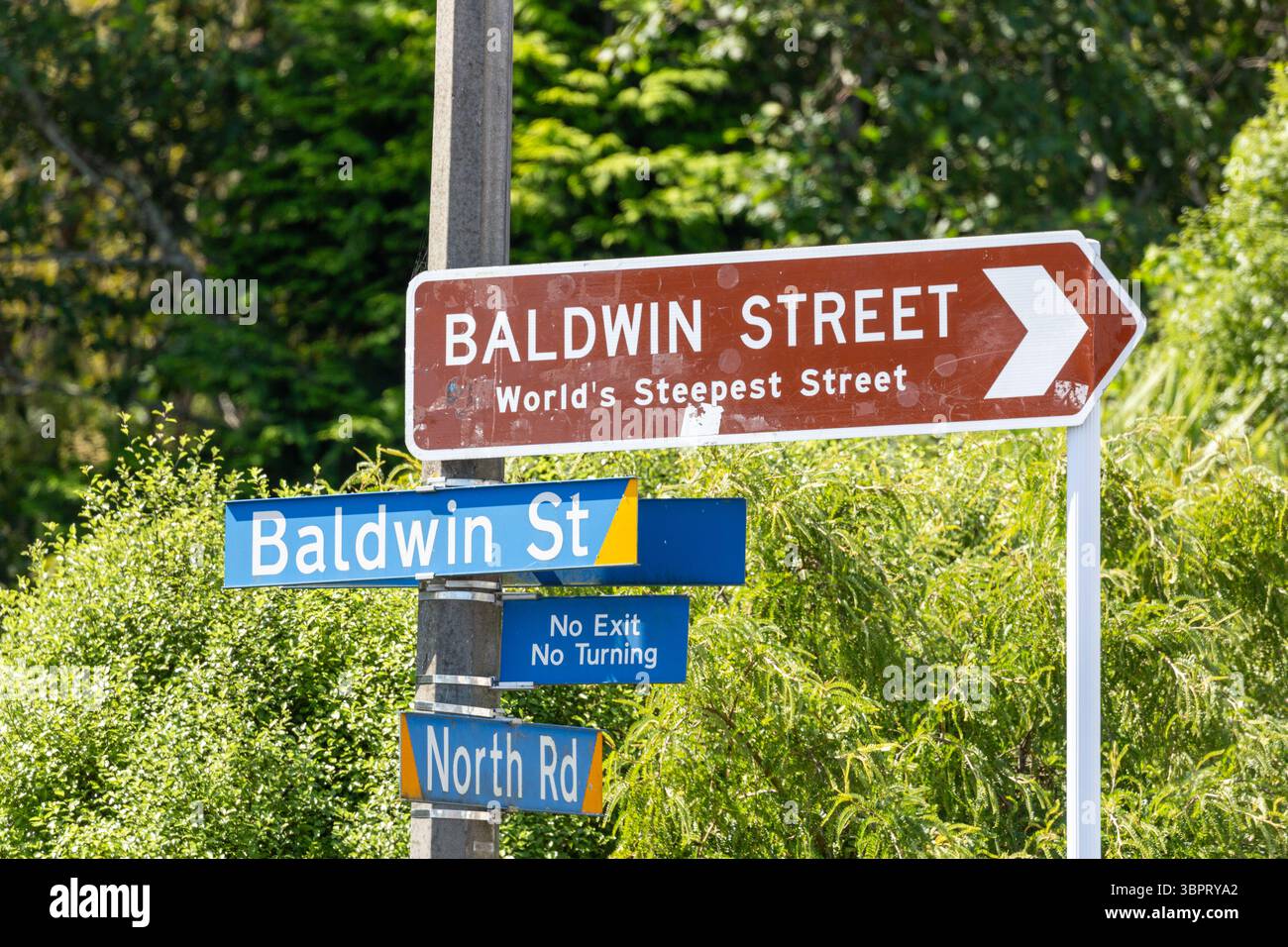 Road Sign for Baldwin Street, The World's Steepest Street with a 34.8% ...