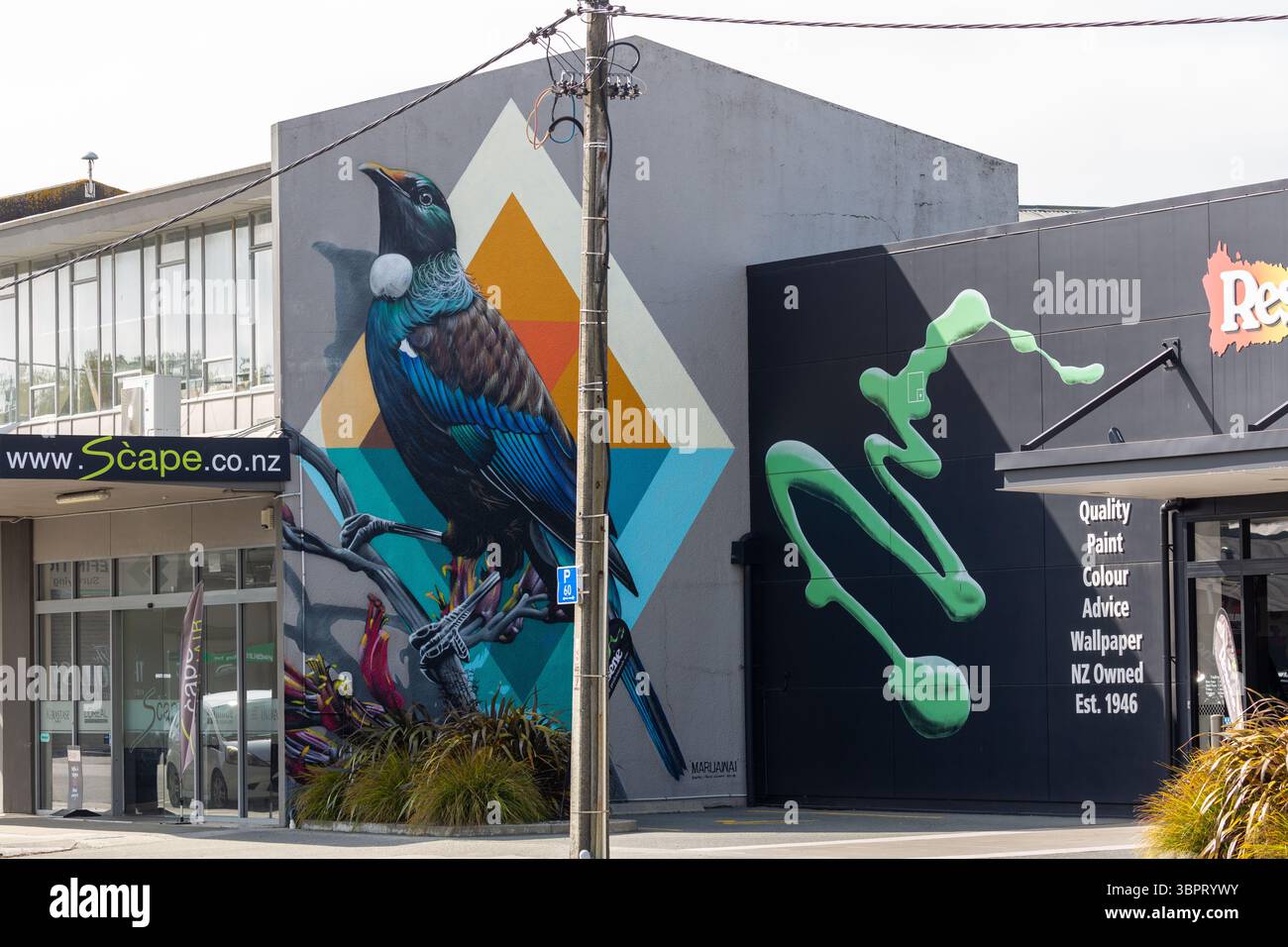 A Tui painted by Charles aka Phat1 TMD crew & Janine Williams aka Lady ...