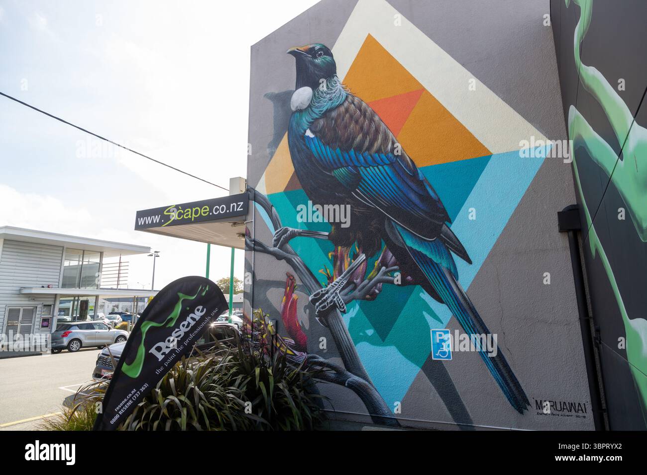 A Tui painted by Charles aka Phat1 TMD crew & Janine Williams aka Lady ...