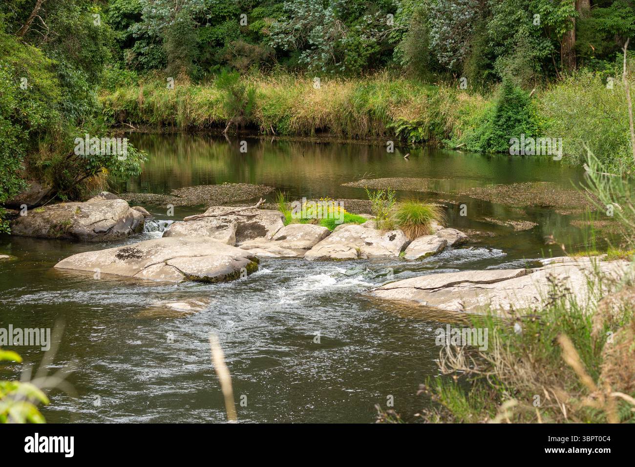 Niagara falls new zealand hi-res stock photography and images - Alamy