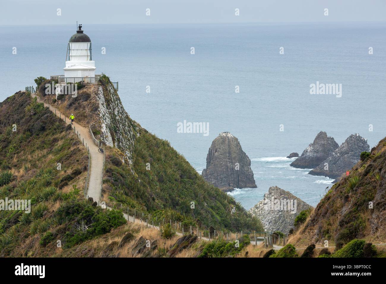 Nugget Point Lighthouse, Otago, South Island, New Zealand Stock Photo ...