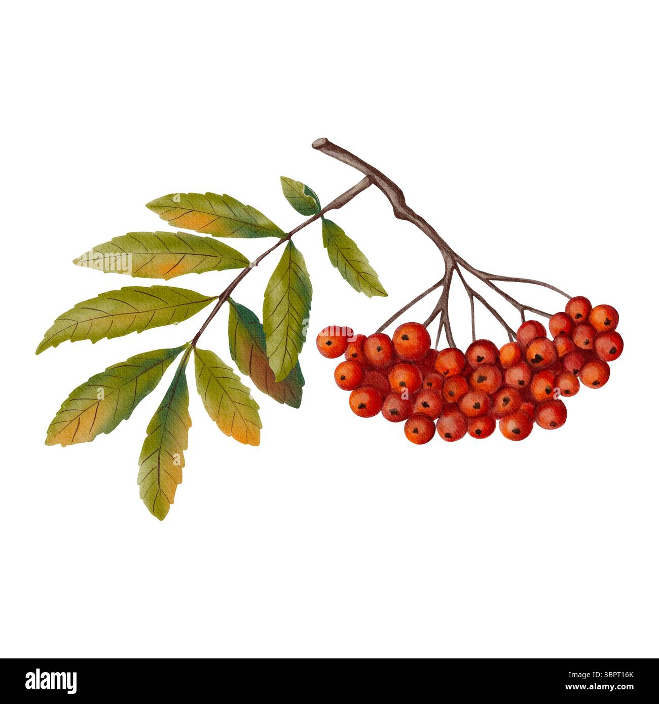 Texture evoke Cut Out Stock Images & Pictures - Alamy