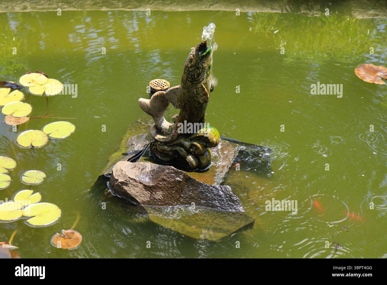 Fish fountain hi-res stock photography and images - Alamy