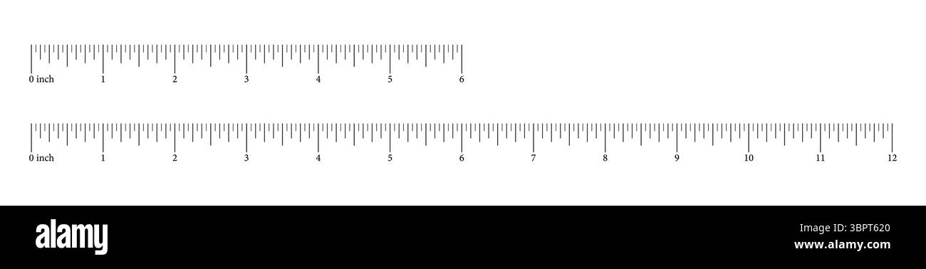 Ruler scale 6 and 12 inch, half foot and foot. Horizontal measuring ...