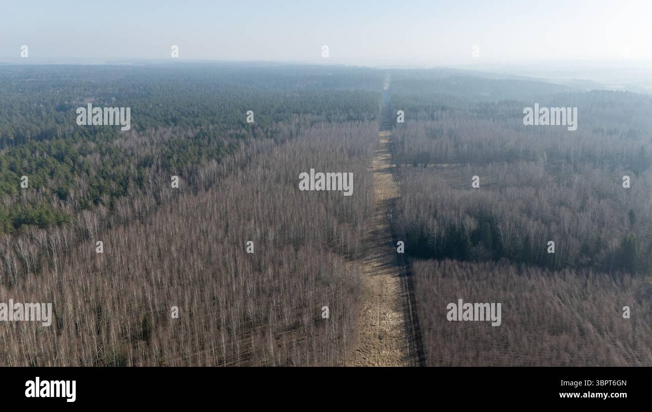 Aerial view of a vast forest landscape with a clear dividing line ...