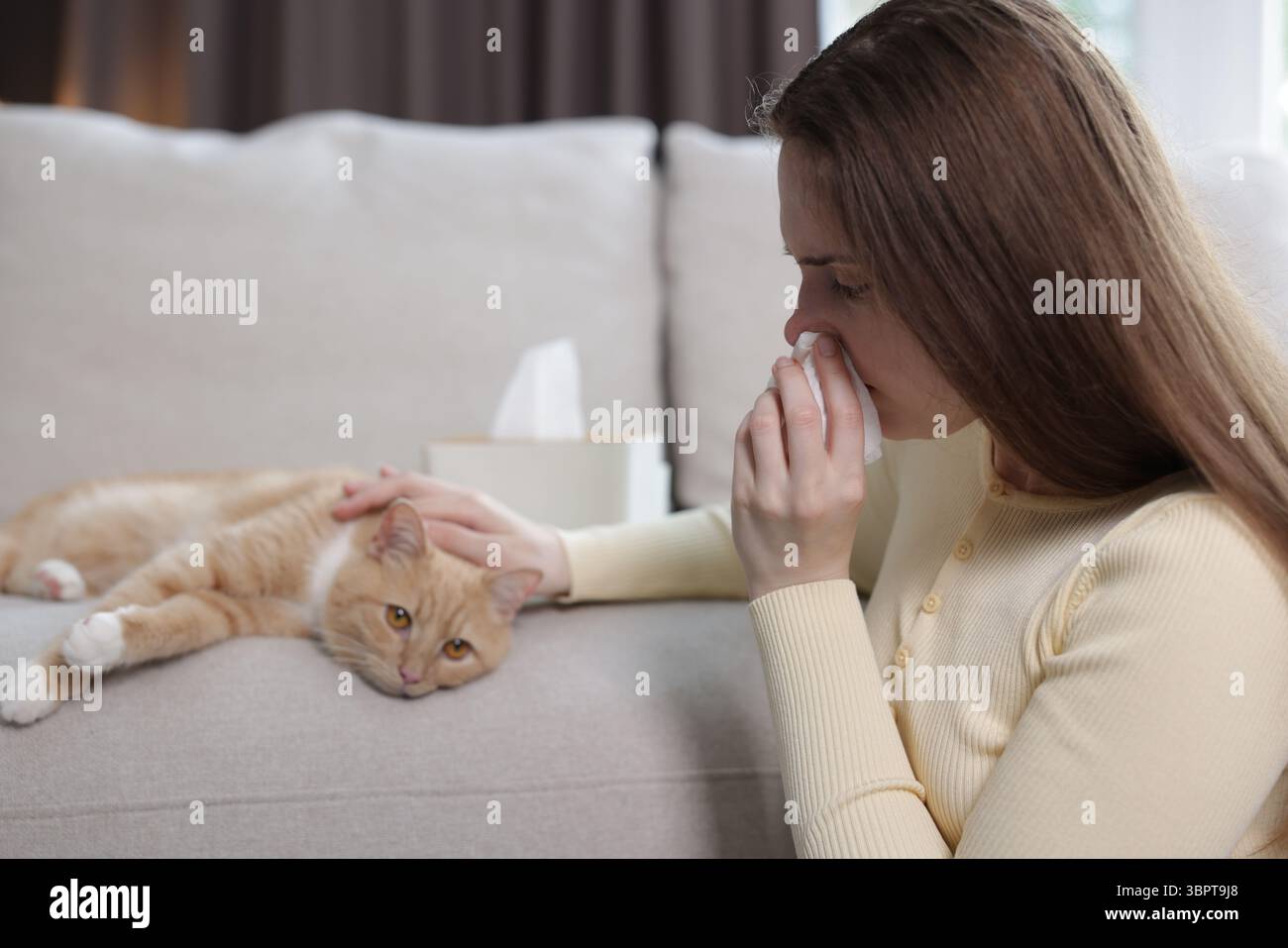 Woman allergic ginger cat hi-res stock photography and images - Alamy