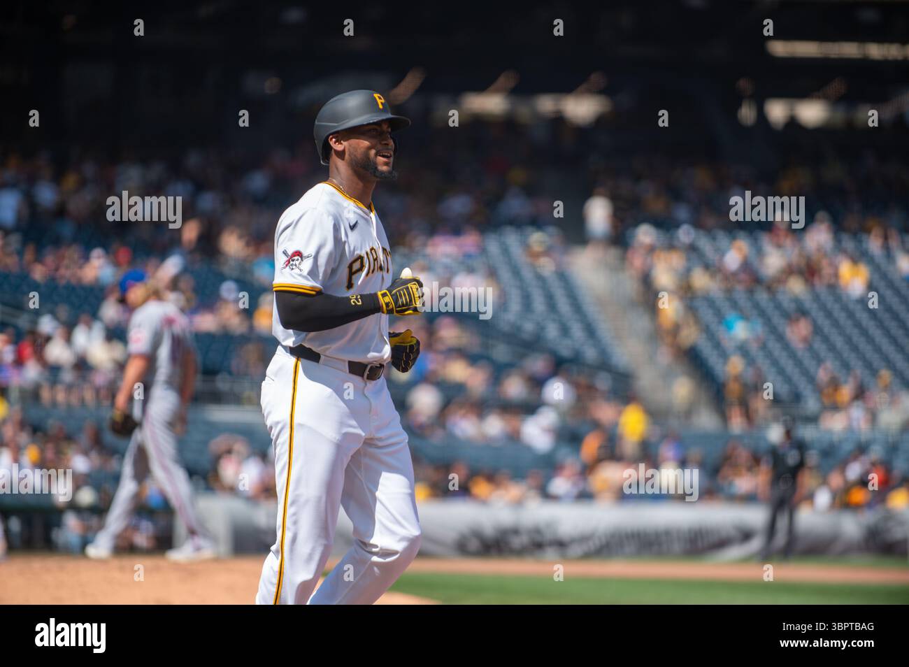 Alexander canario hi-res stock photography and images - Alamy