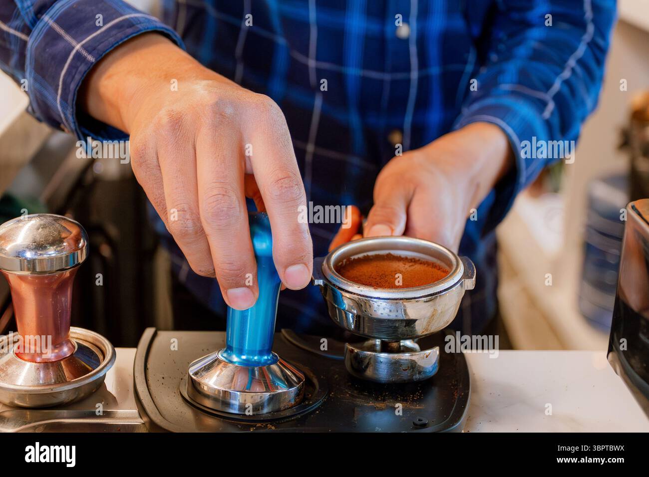 Barista uses blue metal tamper to compact ground coffee in portafilter ...