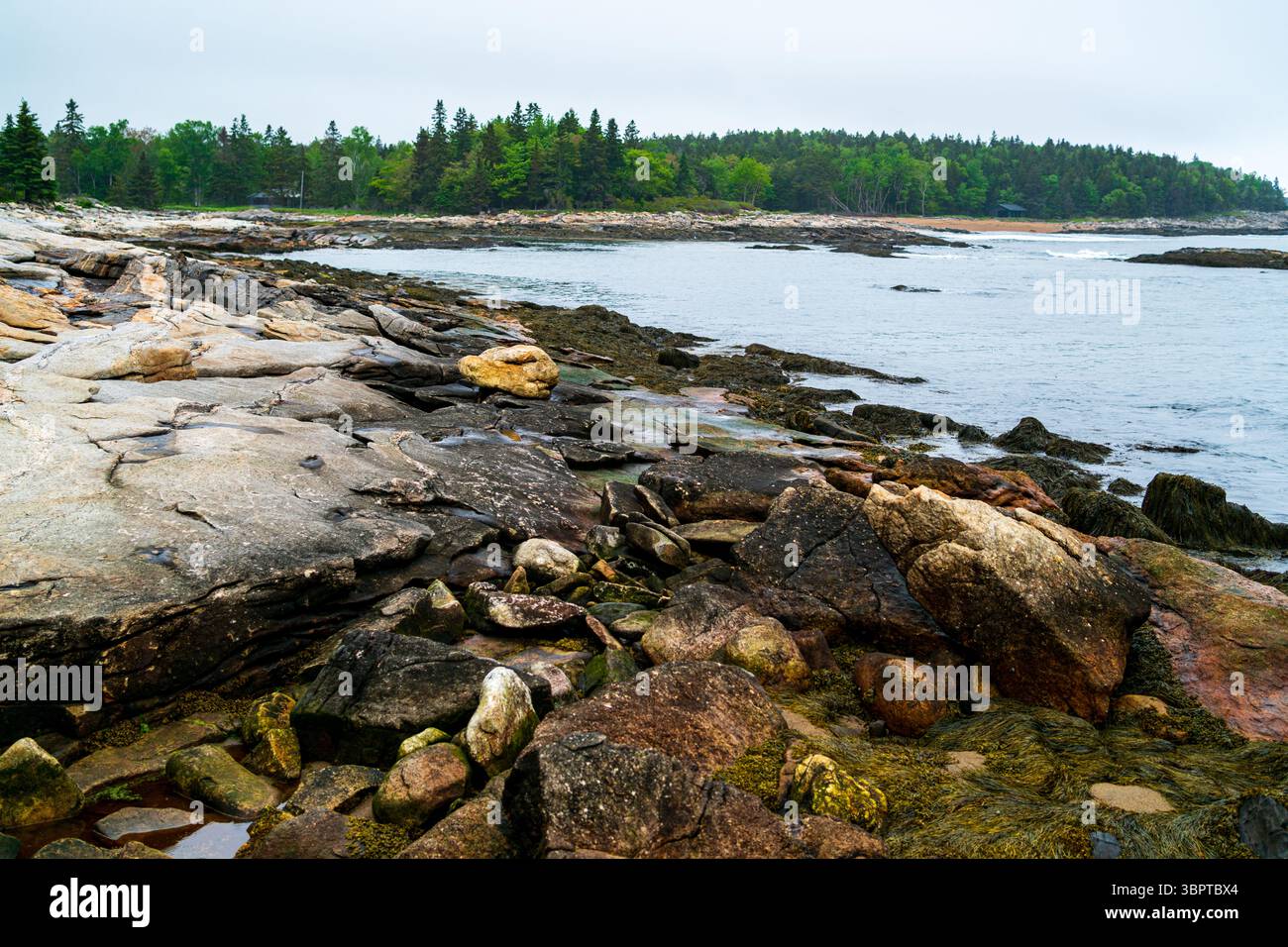 Reid State Park, Georgetown, Maine Stock Photo - Alamy