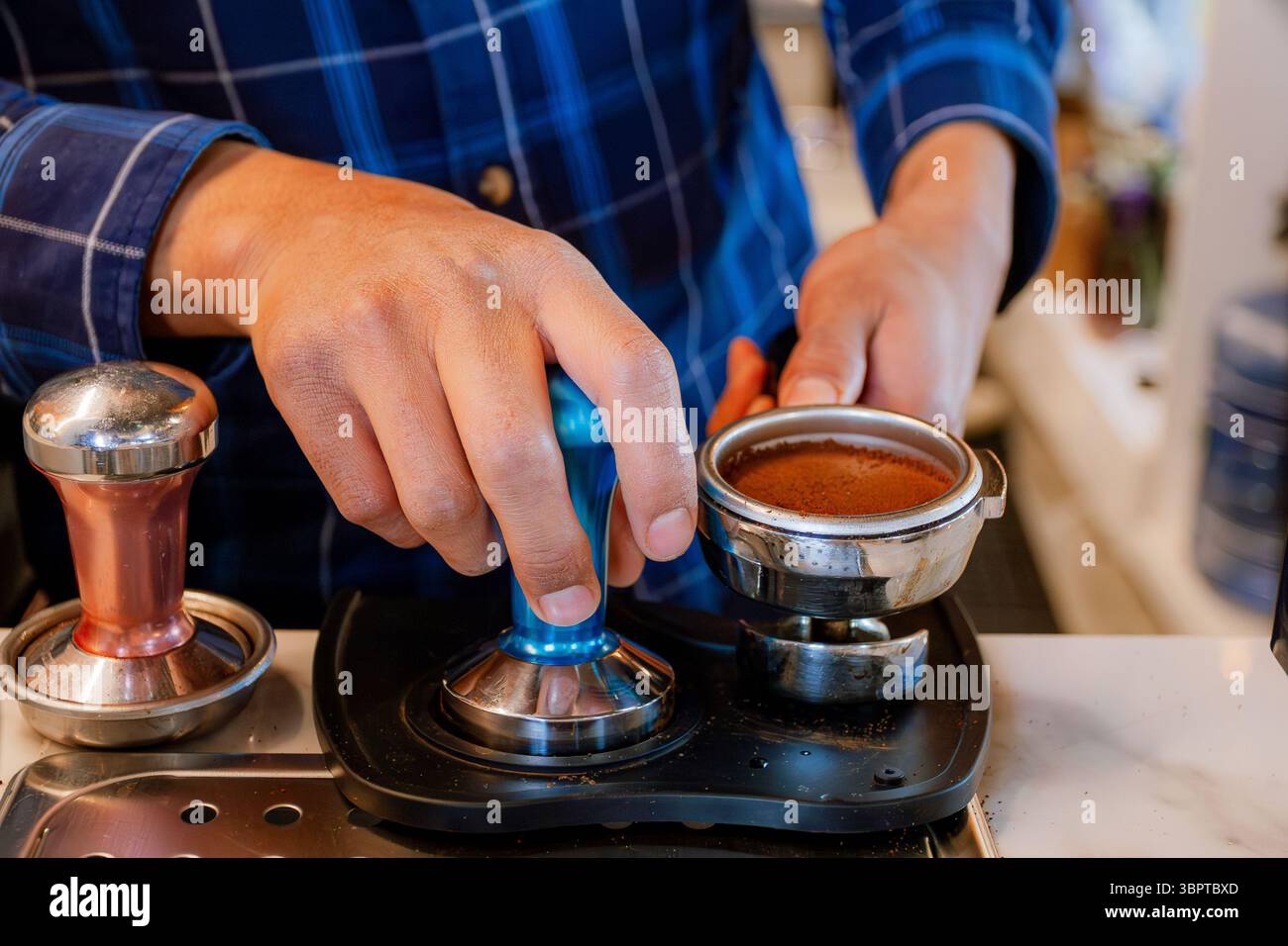 Barista uses blue metal tamper to compact ground coffee in portafilter ...