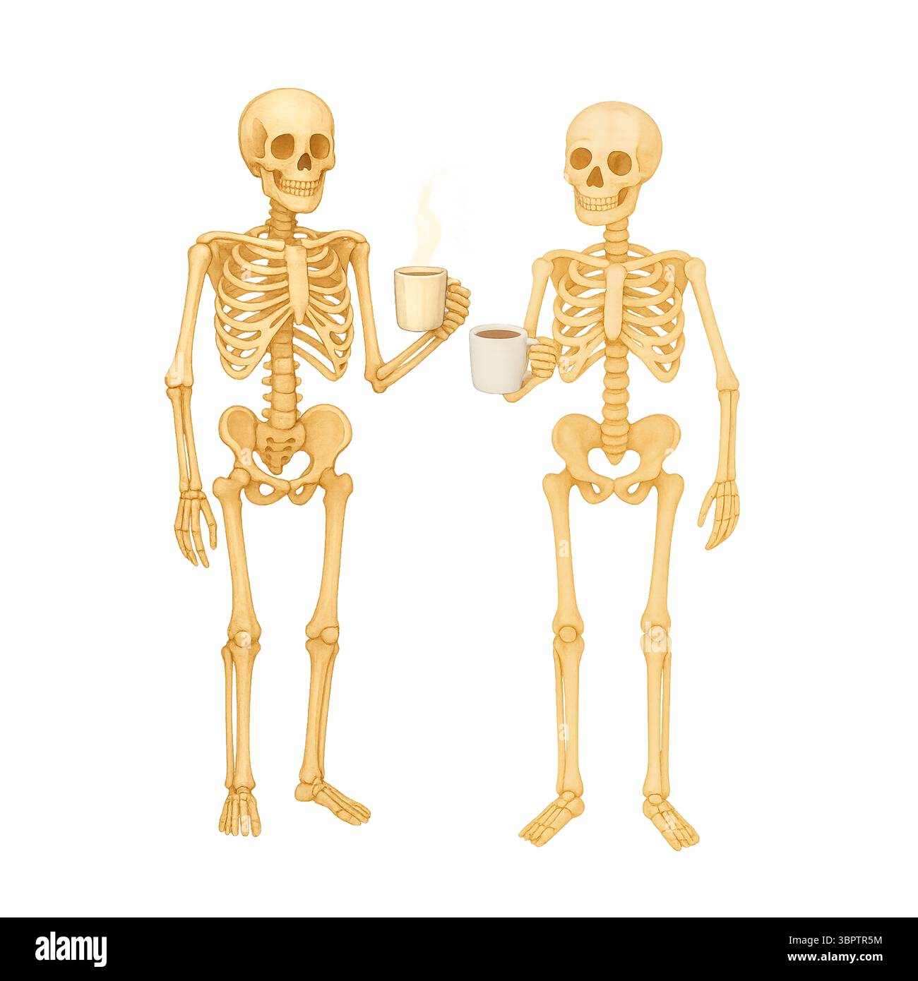 Two jack lantern pumpkin skull Cut Out Stock Images & Pictures - Alamy