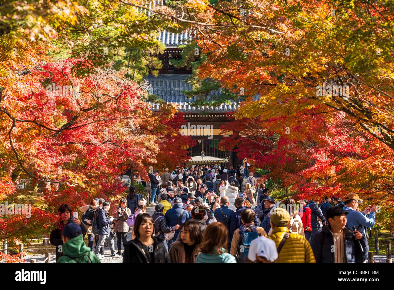 Kyoto, Japan. A large crowd of tourists walking on the sando path of ...