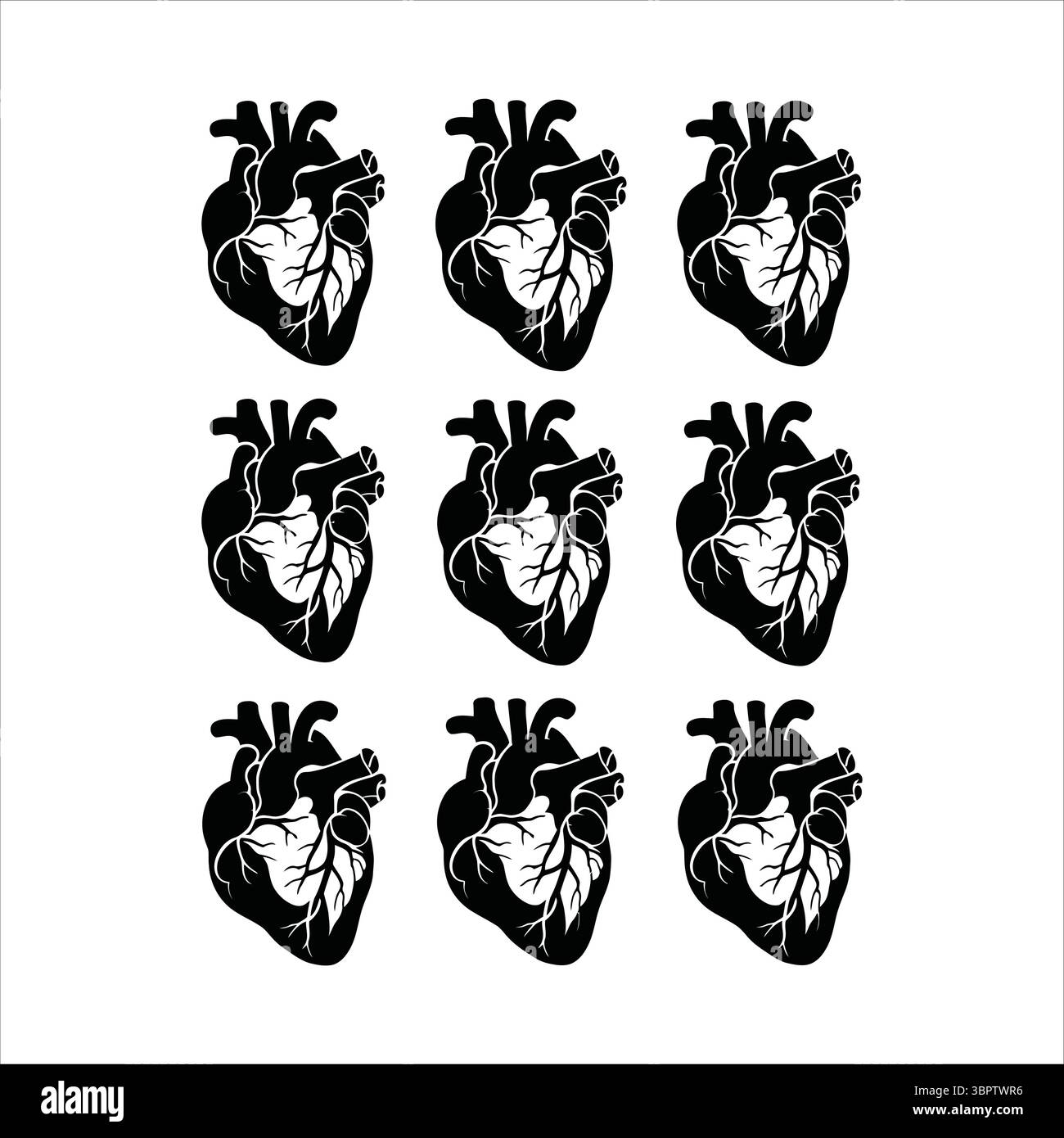 Anatomical heart pattern black and white cardiology medical Stock ...