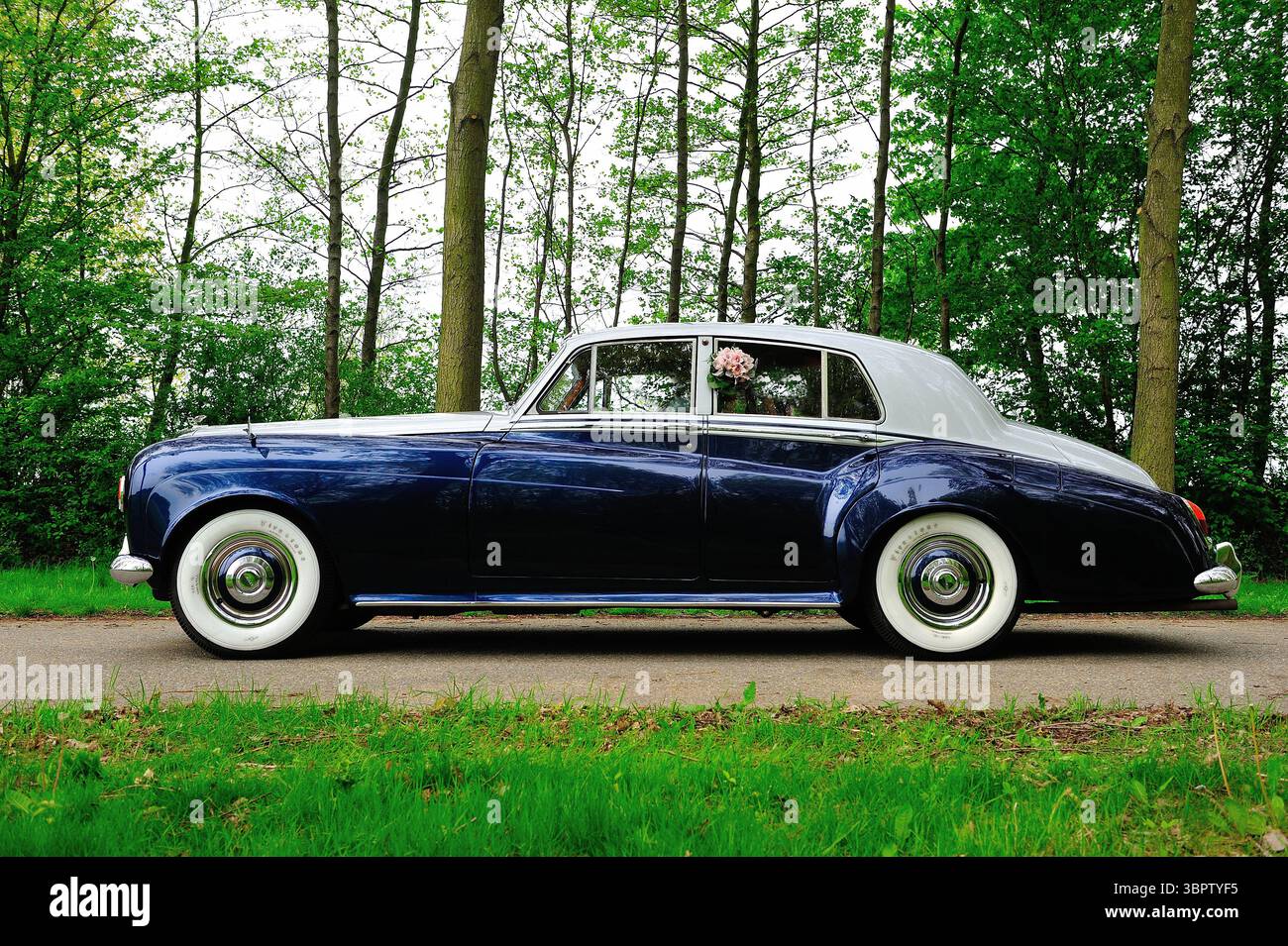 Rolls-Royce Motor Cars,photo Kazimierz Jurewicz,luxury lifestyle Rolls ...