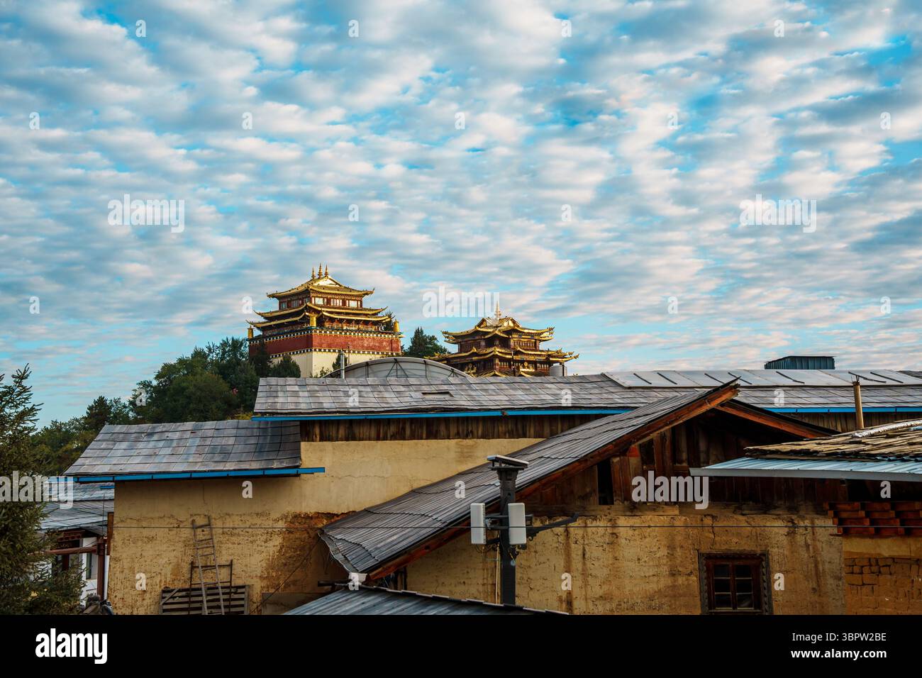 View of the iconic golden temples rising above the historic rooftops of ...