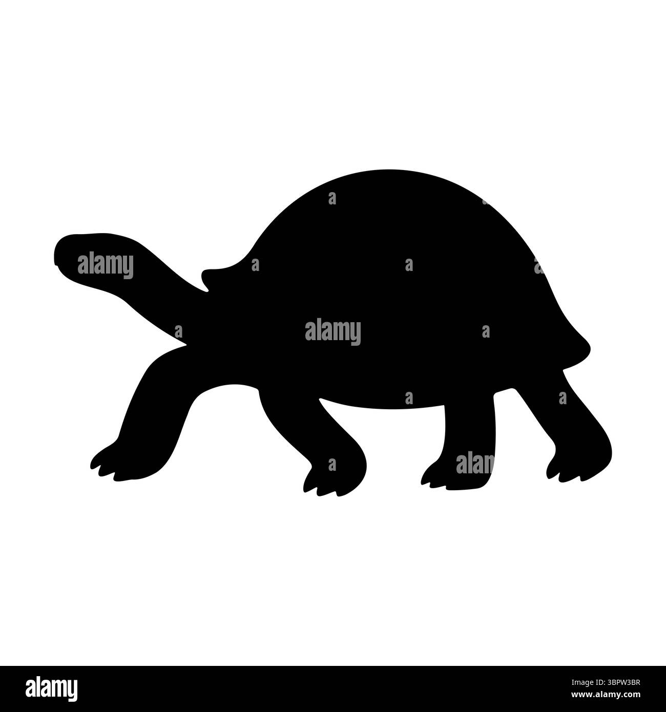 Realistic tortoise silhouette walking view 2 Stock Vector Image & Art ...