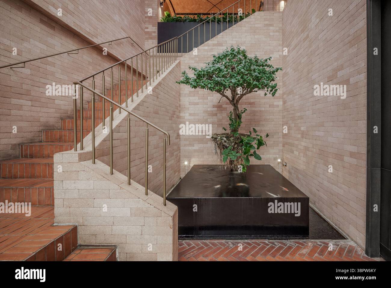 Modern interior with a brick wall and staircase. A small Ficus tree ...