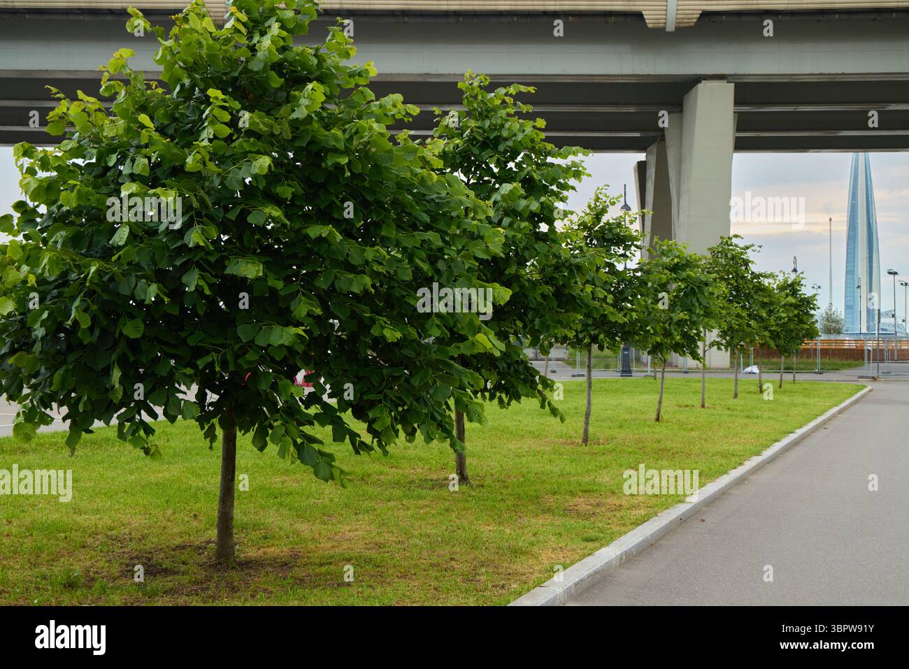 A serene urban landscape featuring lush trees beautifully positioned ...