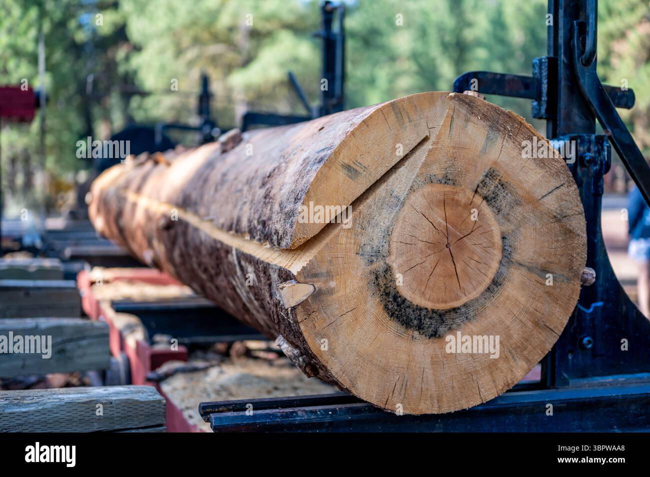 Industrial equipment at the Collier Memorial State Park Logging Museum ...