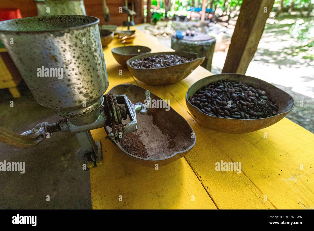 cacao beans, chocolate making, cacao grinder, roasted cacao, rustic ...