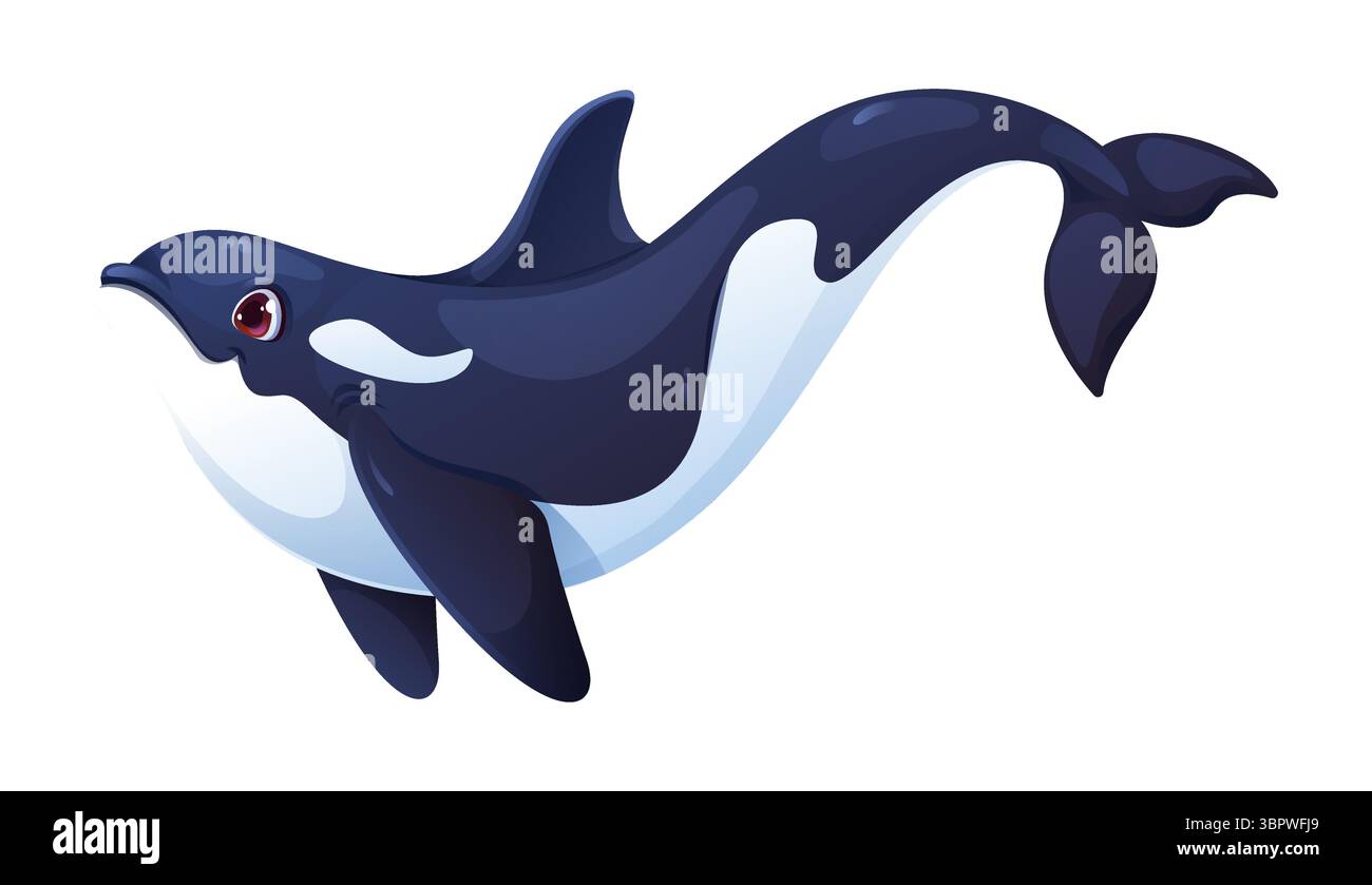Cartoon killer whale or orca character for sea animal or ocean fish ...