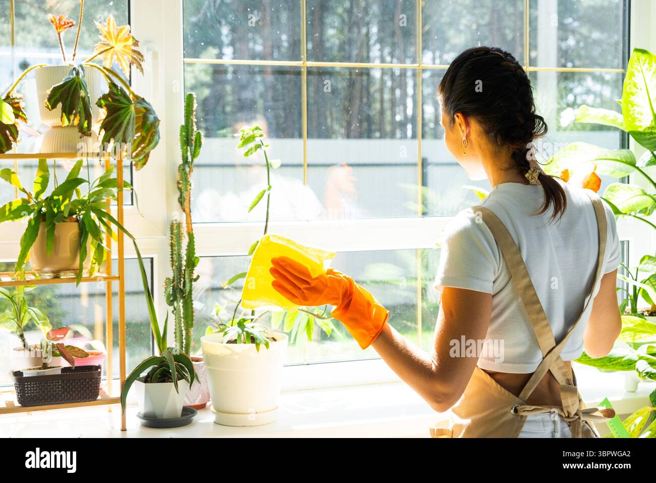 Woman in rubber gloves and apron manually washes window of house with rag cleaner and mop inside ...
